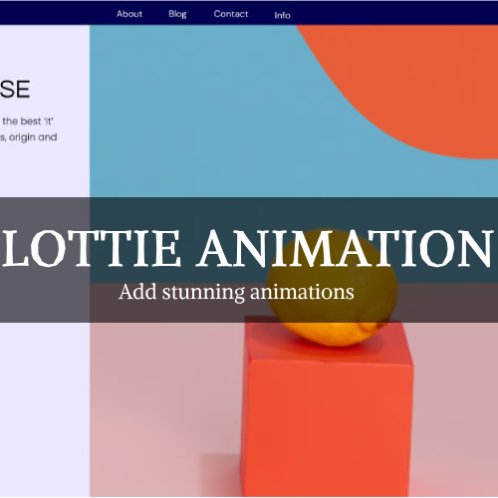 Download Lottie Animation for Elementor WordPress Plugin - MorePlugins